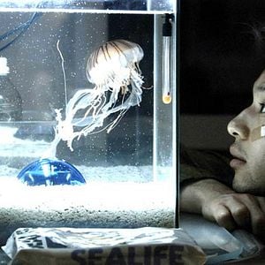 Jellyfish - Film 2002 - AlloCiné