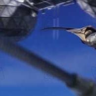 Furtif - Film 2005 - AlloCiné