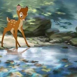 Bambi 2 - Film 2005 - AlloCiné