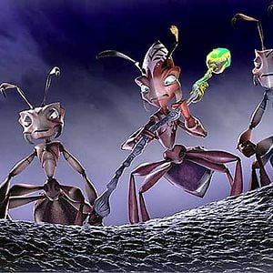 Lucas, fourmi malgré lui - Film 2005 - AlloCiné