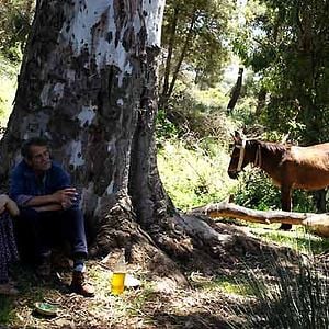 Barakat! - film 2006 - AlloCiné