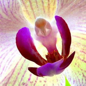 Pollen - Film documentaire 2011 - AlloCiné