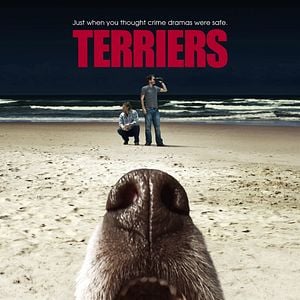 Terriers - Série TV 2010 - AlloCiné