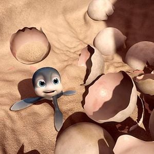 Sammy 2 - Film 2011 - AlloCiné