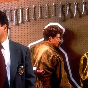 Fatal Instinct - Film 1993 - AlloCiné