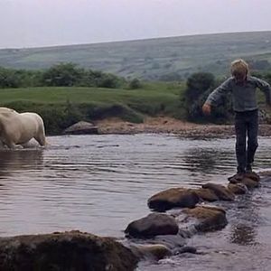 Run Wild, Run Free - Film 1969 - AlloCiné