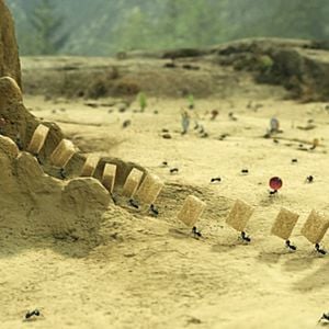 Minuscule - La vallée des fourmis perdues - Film 2013 - AlloCiné