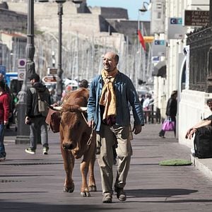 La vache - Film 2016 - AlloCiné