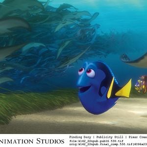 Le Monde de Dory - Film 2016 - AlloCiné