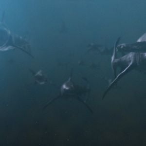 Planet of the Sharks - Film 2016 - AlloCiné