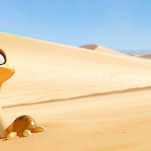 Sahara - Film 2017 - AlloCiné