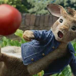 Pierre Lapin - Film 2018 - AlloCiné