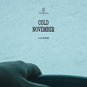 Cold November - Film 2018 - AlloCiné