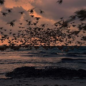 Jessica Forever - Film 2018 - AlloCiné