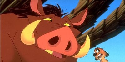 Timon et Pumbaa Saison 1 - AlloCiné