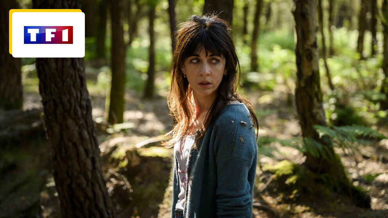 Brocéliande sur TF1 : que vaut la série policière avec Nolwenn Leroy se déroulant en Bretagne ...