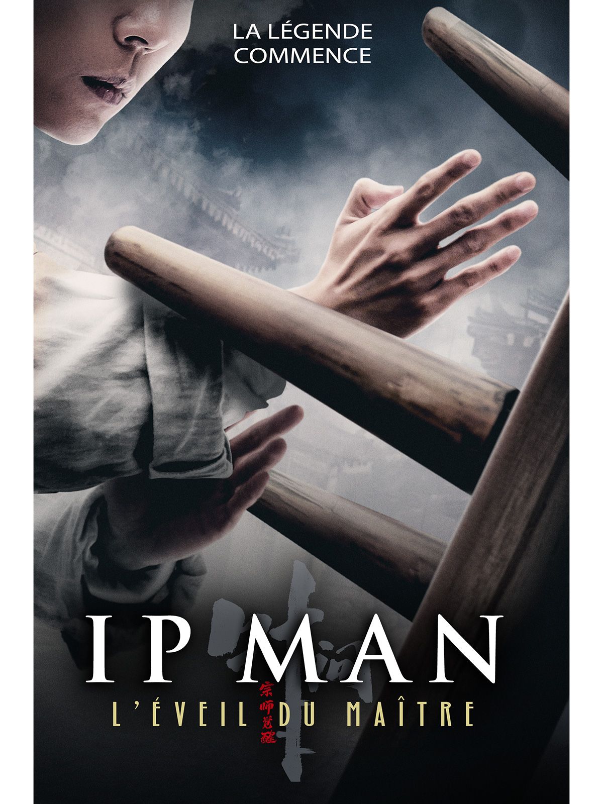 Ip Man : L'Éveil du Maître - Film 2021 - AlloCiné