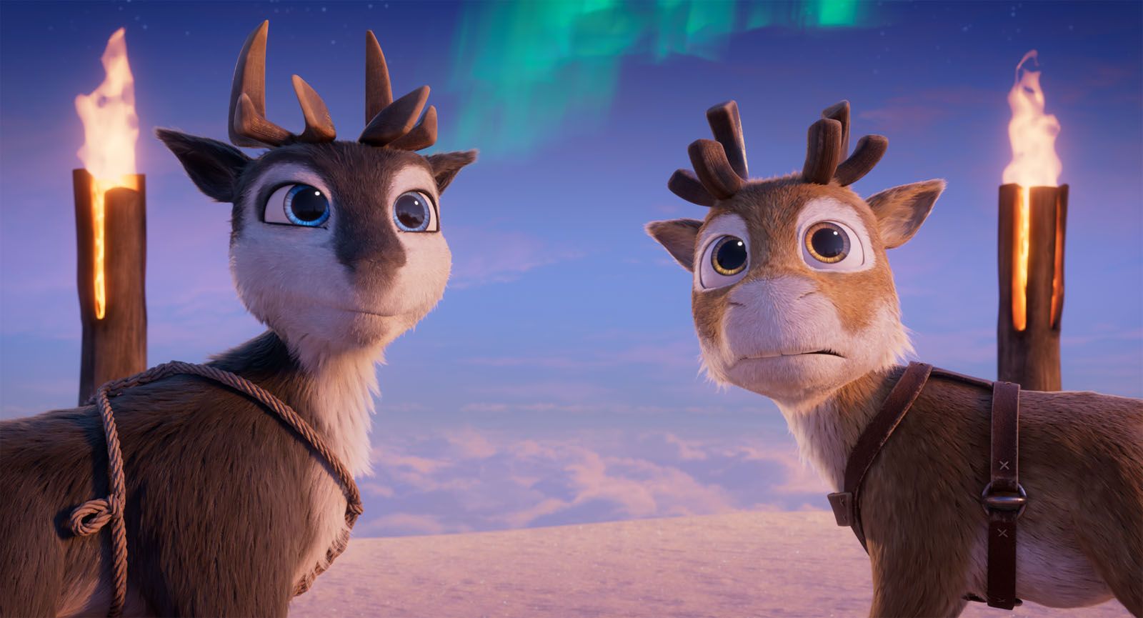 Photo du film Niko le petit renne Mission Père Noël - Photo 17 sur 21 ...