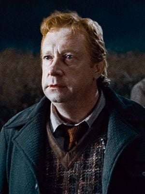 Mark Williams Harry Potter