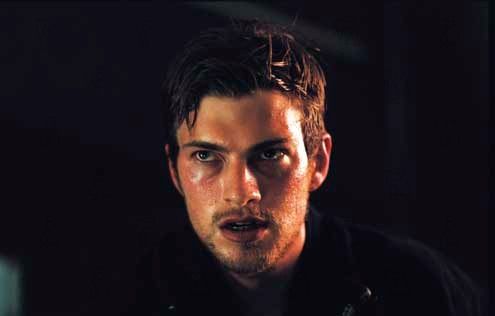 Photo de Rose Bosch - Animal : Photo Rose Bosch, Andreas Wilson - Photo ...