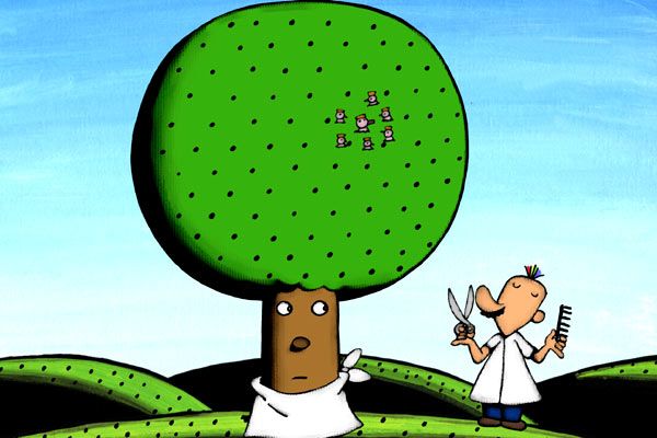 Photo de Gil Alkabetz - Bric à brac : Photo Gil Alkabetz - Photo 1 sur ...