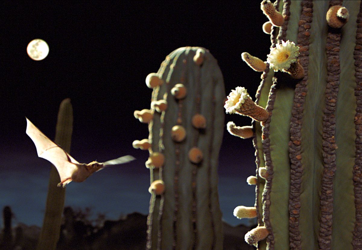 Photo du film Pollen - Photo 45 sur 74 - AlloCiné