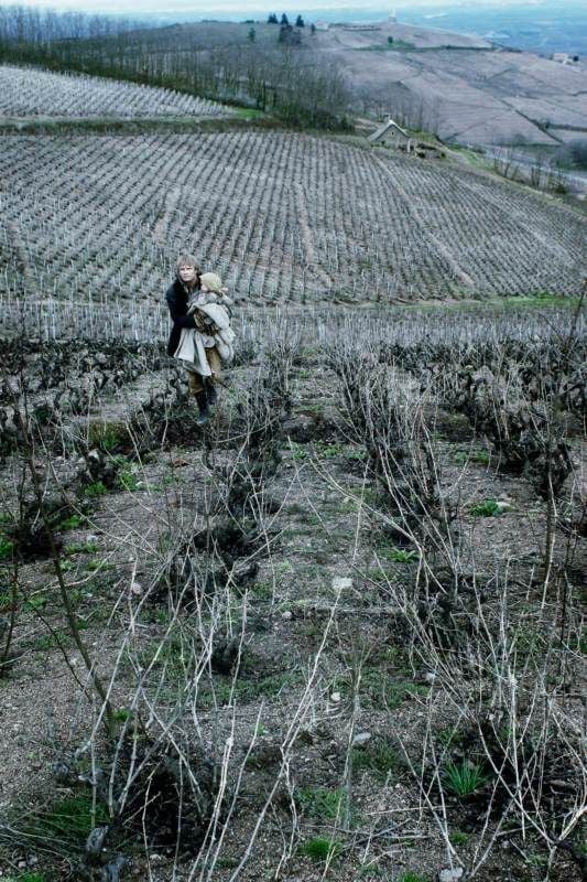 Photo du film The Vintner's Luck - Photo 3 sur 18 - AlloCiné