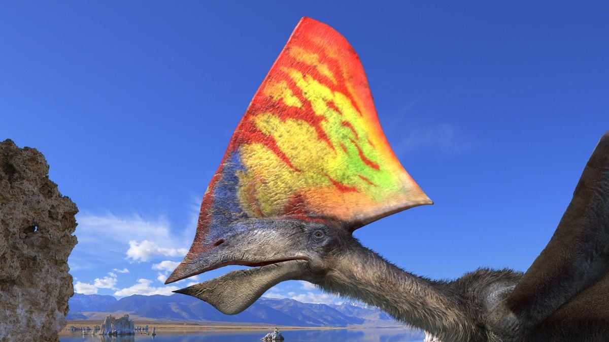 Photo de Ptérodactyles 3D : Dans le ciel des dinosaures - Photo 13 sur ...