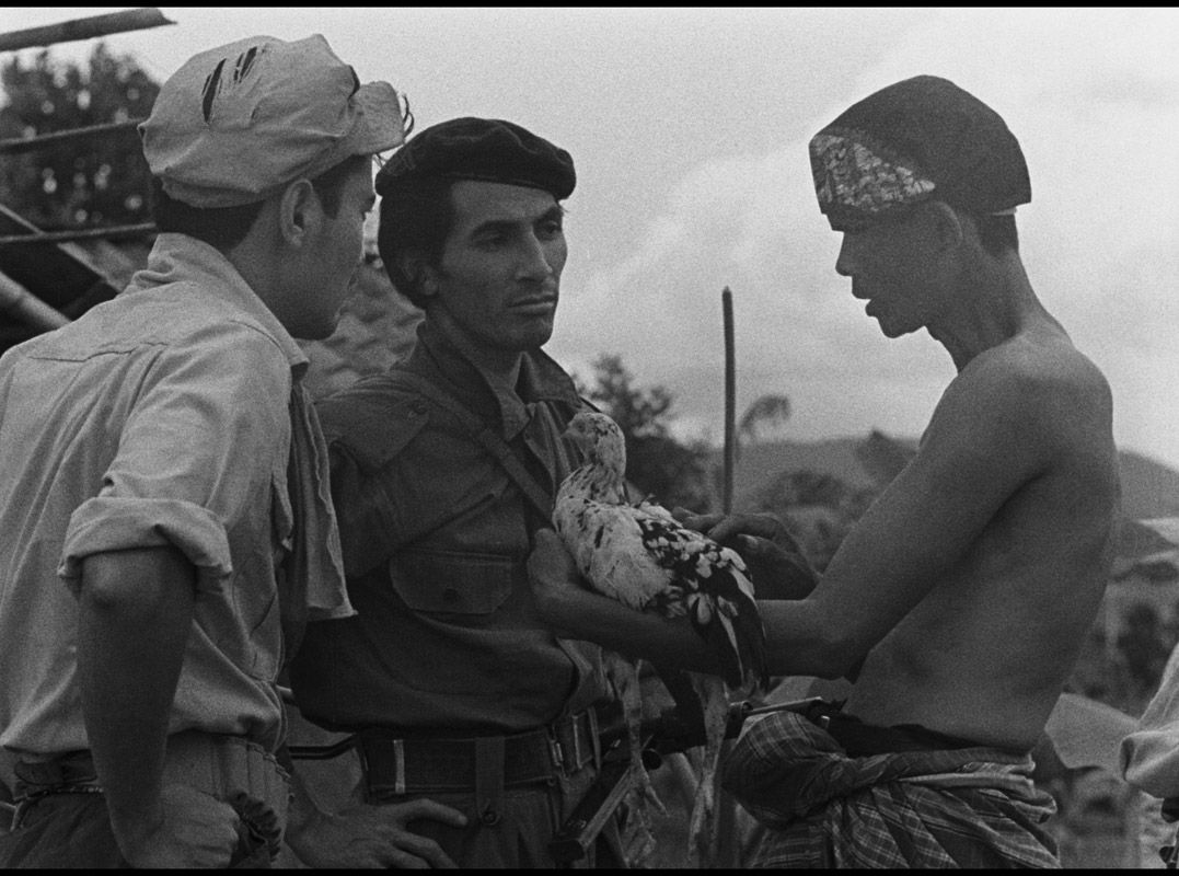 Photo du film After the Curfew - Photo 1 sur 3 - AlloCiné