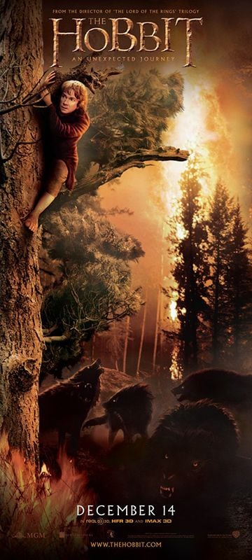 Affiche du film Le Hobbit : un voyage inattendu - Photo 41 sur 100 ...