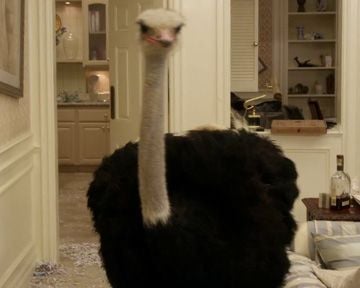 Arrested Development - saison 4 Extrait vidéo (2) VO - Vidéo Arrested ...