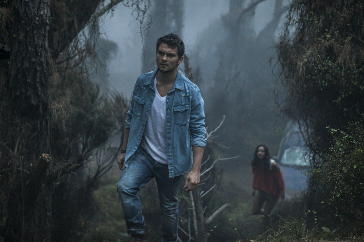Photo du film Evil Dead - Photo 5 sur 28 - AlloCiné