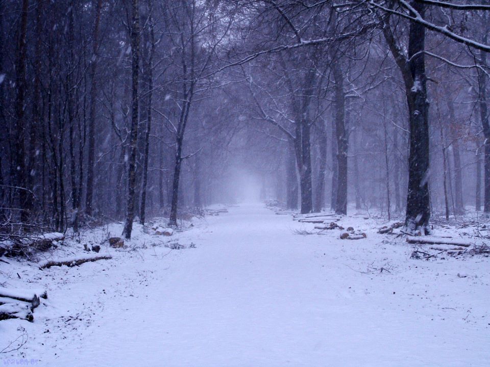 Photo du film The Frozen - Photo 3 sur 5 - AlloCiné