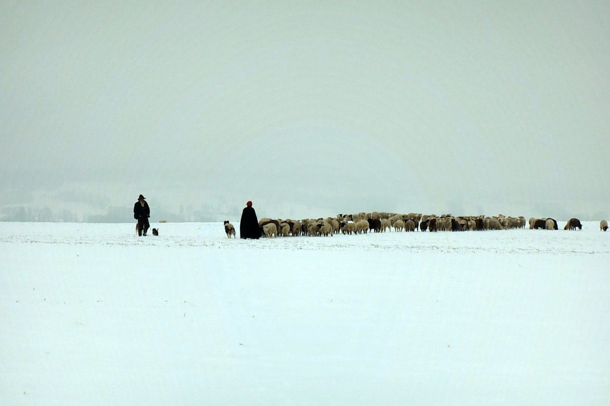 Photo du film Hiver nomade - Photo 11 sur 19 - AlloCiné