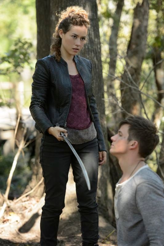 Star-Crossed : Star-Crossed : Photo - 54 sur 107 - AlloCiné