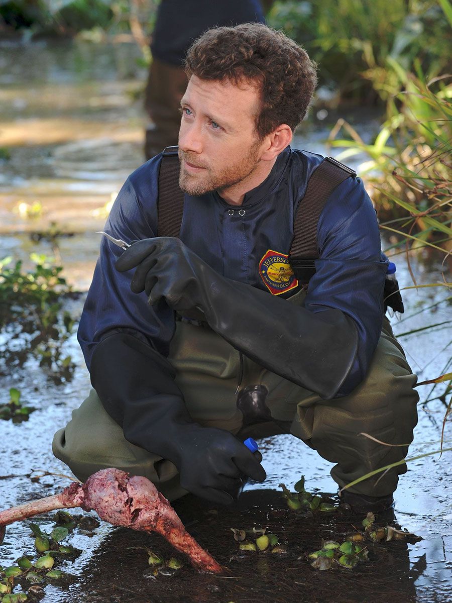 Bones : Bones : Photo T.J. Thyne - 572 sur 1033 - AlloCiné