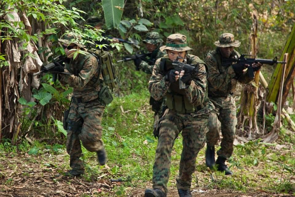 Photo du film Operation Rogue - Photo 14 sur 31 - AlloCiné