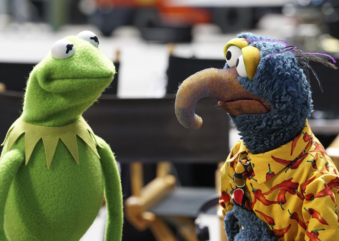 The Muppets : The Muppets : Photo - 64 sur 77 - AlloCiné
