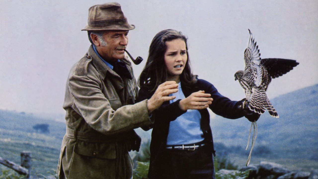 Photo du film Run Wild, Run Free - Photo 5 sur 5 - AlloCiné