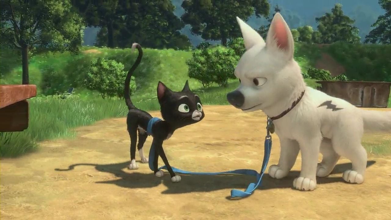 Photo du film Volt, star malgré lui - Photo 10 sur 48 - AlloCiné