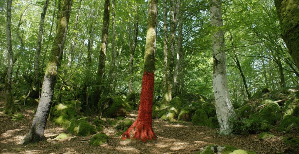 Photo du film Amama - Photo 10 sur 12 - AlloCiné