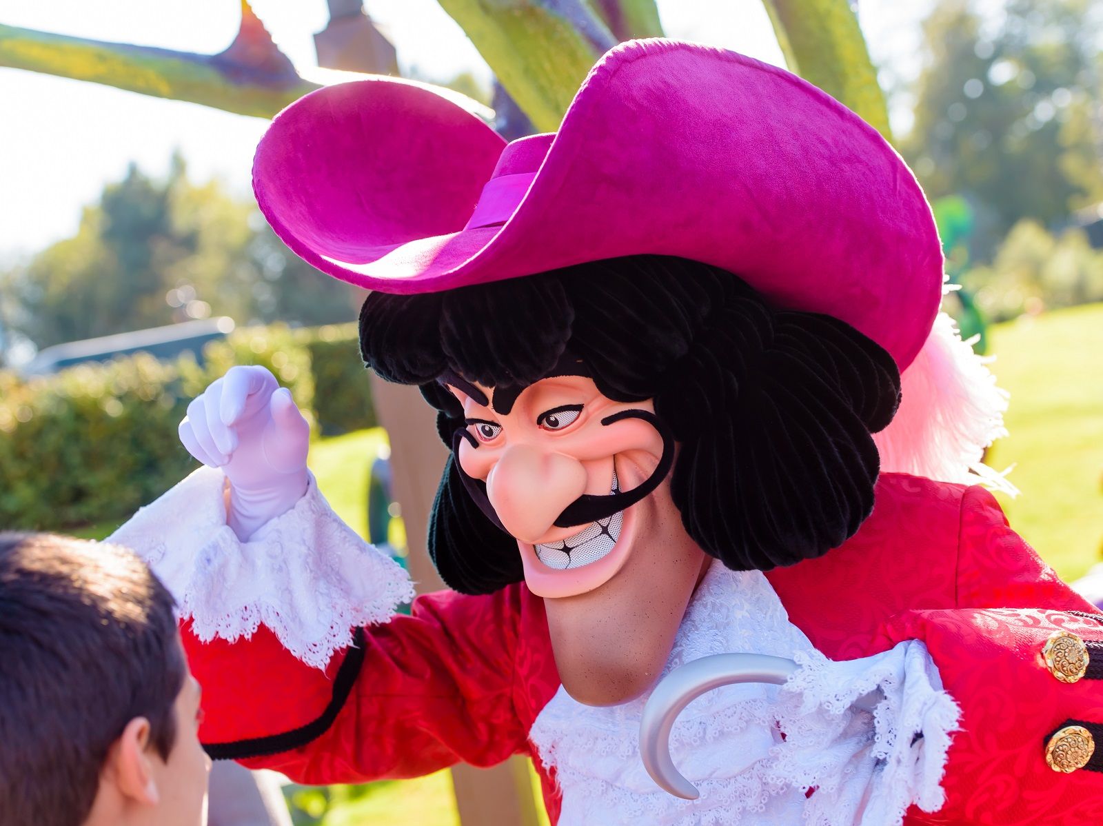 Photo de Capitaine Crochet - Photo Capitaine Crochet - Photo 0 sur 5 ...