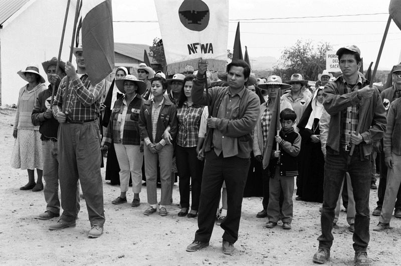 Photo du film Cesar Chavez: An American Hero - Photo 10 sur 29 - AlloCiné