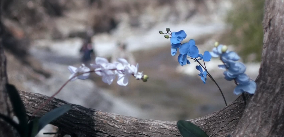 Photo du film Upstream Color - Photo 14 sur 22 - AlloCiné