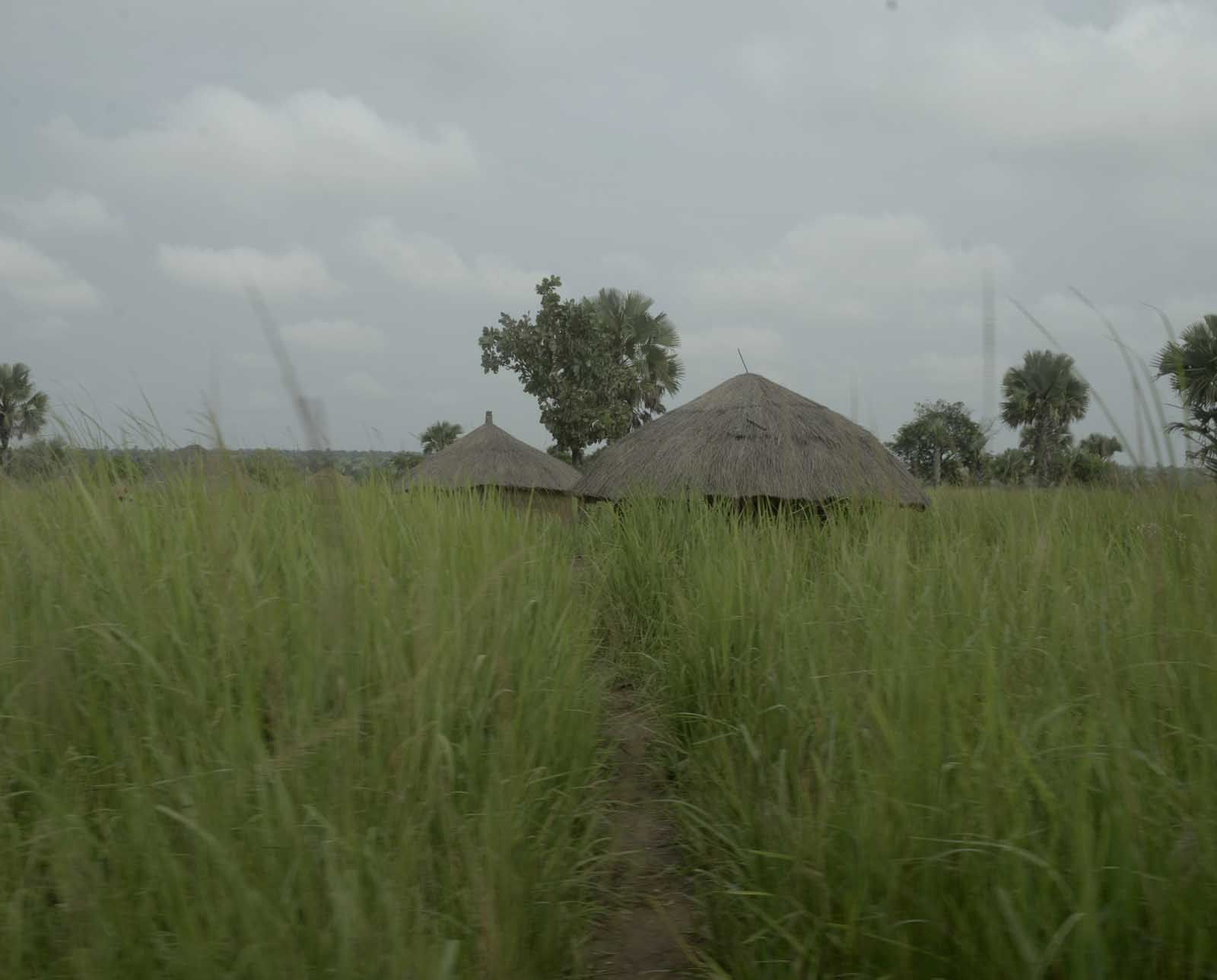 Photo du film Wrong Elements - Photo 14 sur 29 - AlloCiné