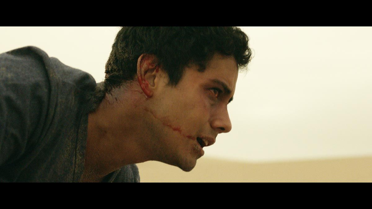 Photo du film El Soñador - The Dreamer - Photo 14 sur 39 - AlloCiné