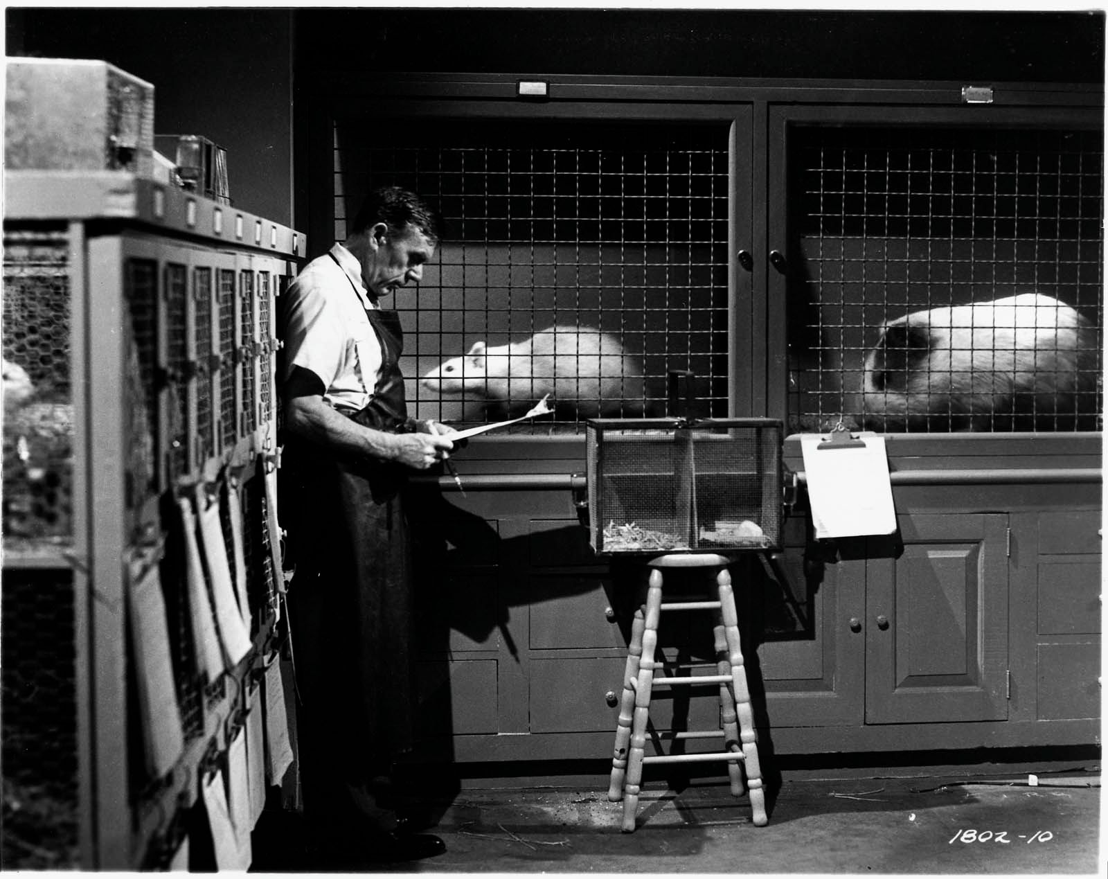 Photo de Leo G. Carroll - Tarantula : Photo Leo G. Carroll - Photo 4 ...