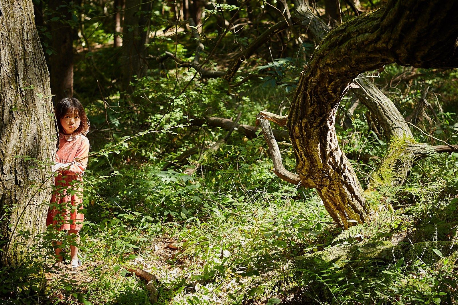 Photo de Shin Rin-Ah - The Mimic : Photo Shin Rin-Ah - AlloCiné