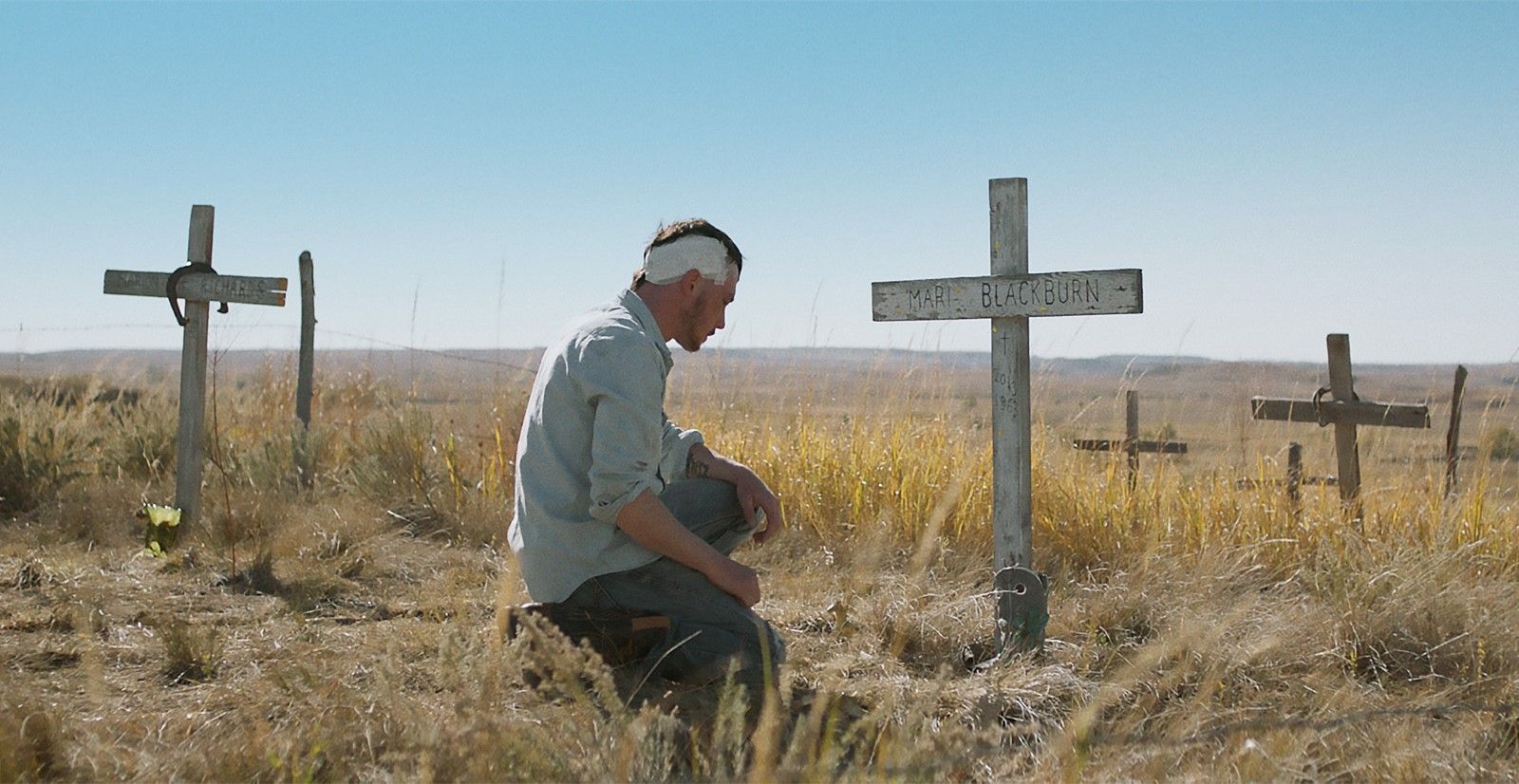 Photo du film The Rider - Photo 7 sur 16 - AlloCiné