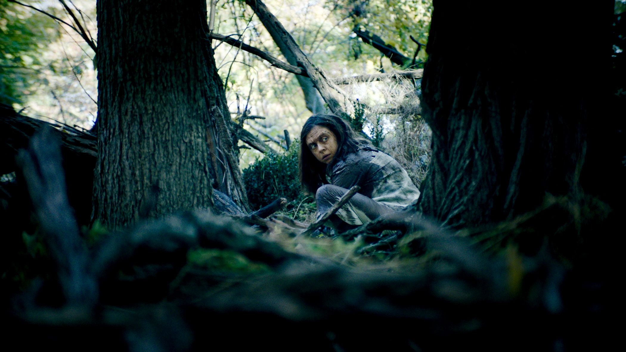 Photo du film Wildling - Photo 16 sur 31 - AlloCiné